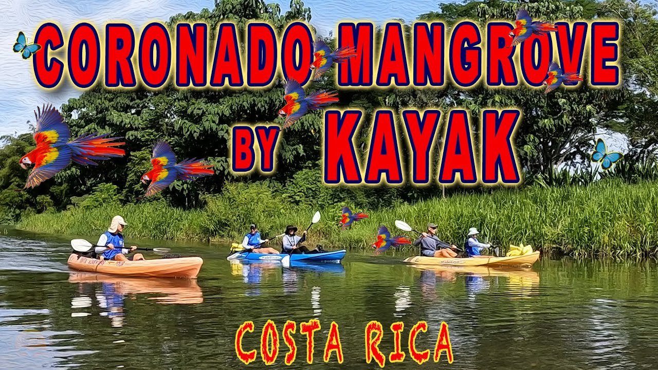 Coronado Mangrove Kayak Aventure Puerto Cortez Costa Rica - Costa Rica ...
