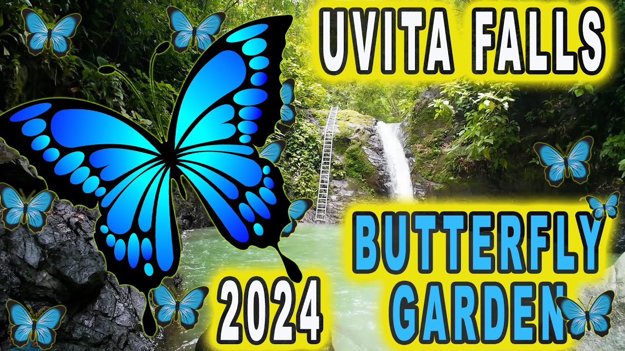 Blue Morpho Butterfly Garden 2024 - Costa Rica Story